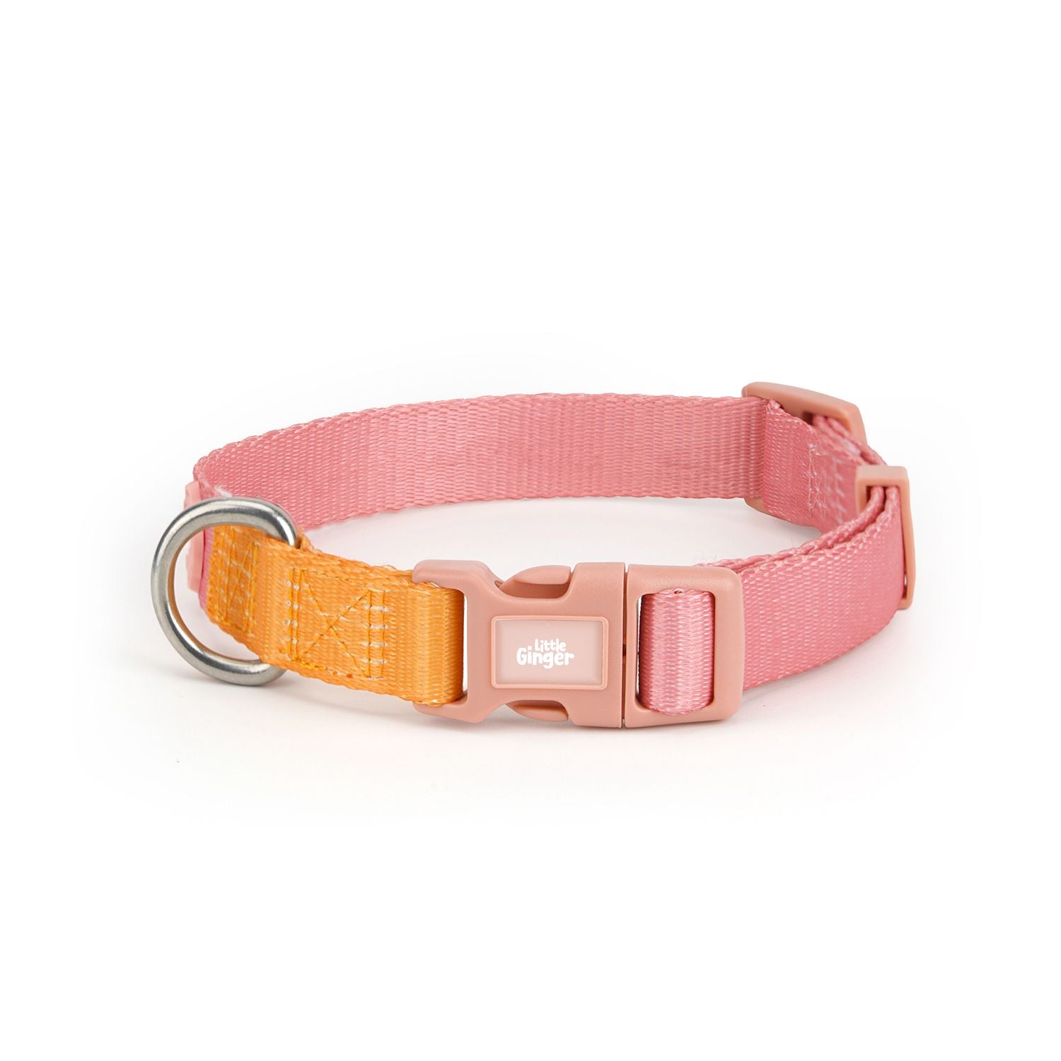Two-Tone Collar – Little Ginger